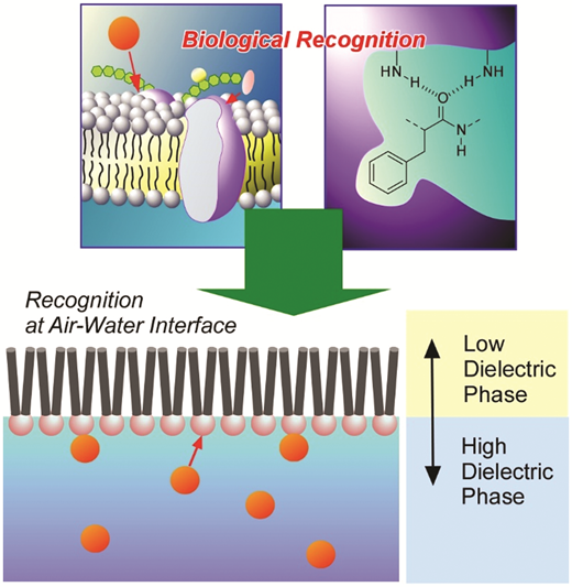 Molecular recognition at the air–water interface: nanoarchitectonic ...