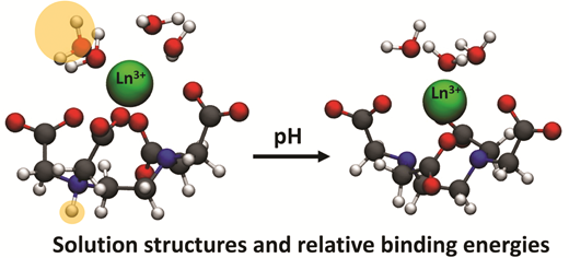 The solution structures and relative stability constants of lanthanide ...