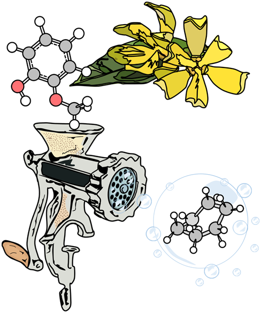 DFT insights into competing mechanisms of guaiacol hydrodeoxygenation ...