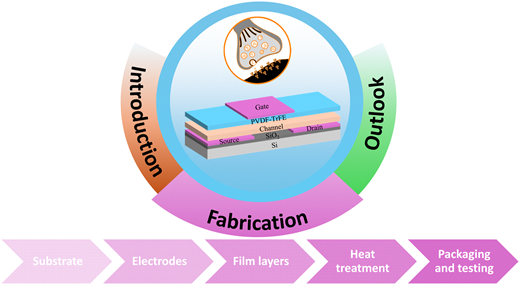 A review of synaptic devices based on organic ferroelectric materials ...