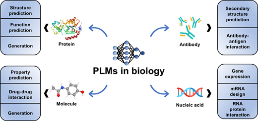 Pre-trained language models for protein and molecular design | Physical ...