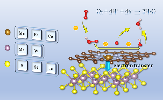 Tuning the ORR on graphene-MN4 single-atom sites via 2D TMD coupling ...