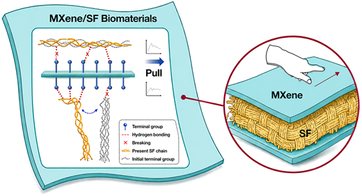 Unraveling the effects of surface functional groups and assembly ...