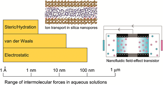 Ion transport in nanofluidic channels† | Chemical Society Reviews | The ...