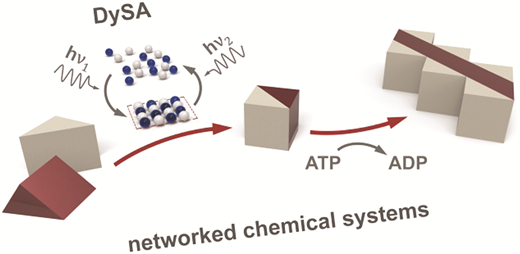 From dynamic self-assembly to networked chemical systems | Chemical ...