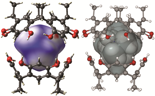 Crystallography of encapsulated molecules | Chemical Society Reviews ...