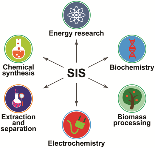 “Solvent-in-salt” systems for design of new materials in chemistry ...