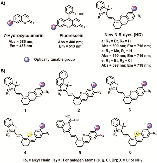 Correction: Activity-based NIR fluorescent probes based on the ...