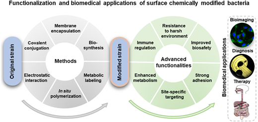 Surface-modified bacteria: synthesis, functionalization and biomedical ...