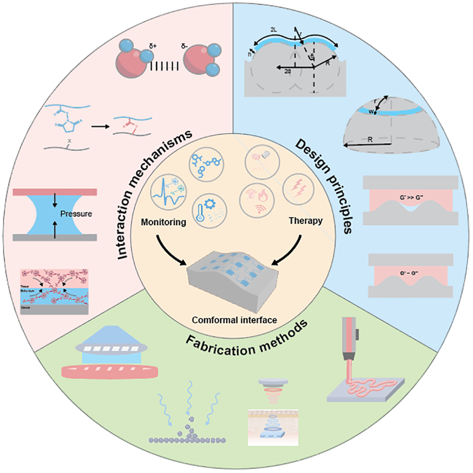 Tissue-bioelectronics interfaces | Chemical Society Reviews | The Royal ...