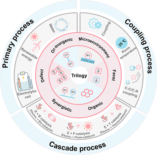 Triad of electrocatalytic strategies for polymer monomer synthesis ...