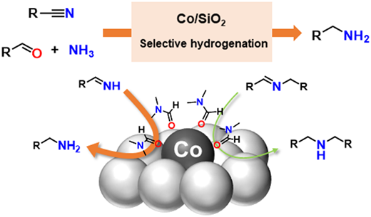 Primary amine synthesis by hydrogen-involving reactions over ...