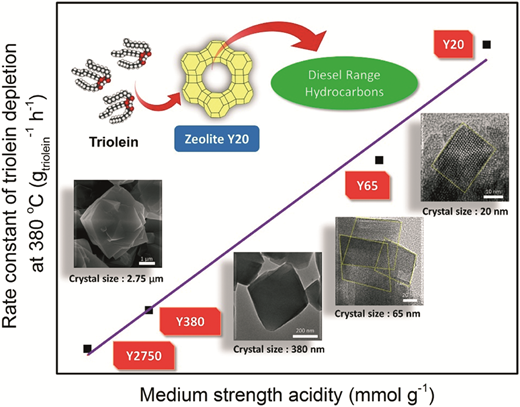 The role of nanosized zeolite Y in the H2-free catalytic deoxygenation ...