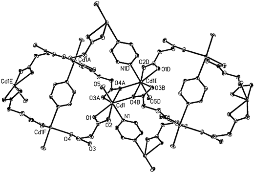 New types of the flexible self-assembled metal–organic coordination ...