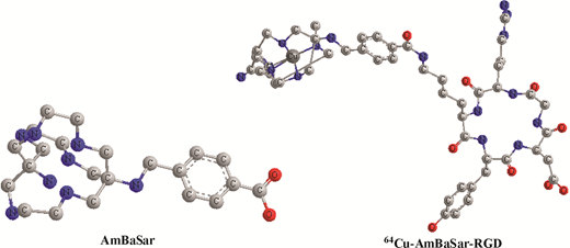 Synthesis of a novel bifunctional chelator AmBaSar based on ...