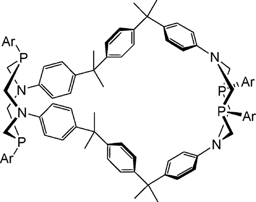 P,N-Containing cyclophanes with large helical hydrophobic cavities ...