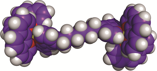 The antimicrobial activity of inert oligonuclear polypyridylruthenium ...