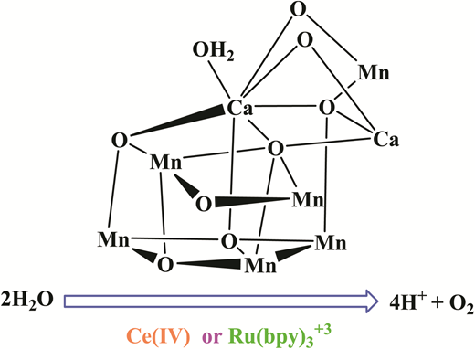 Calcium manganese(iv) oxides: biomimetic and efficient catalysts for ...