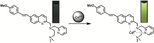 A novel quinoline-based two-photon fluorescent probe for detecting Cd2 ...