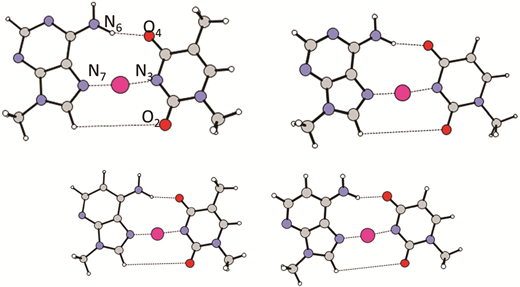 Theoretical investigation on DNA/RNA base pairs mediated by copper ...