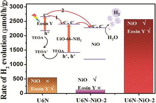 Boosting visible-light photocatalytic H2 evolution via UiO-66-NH2 ...