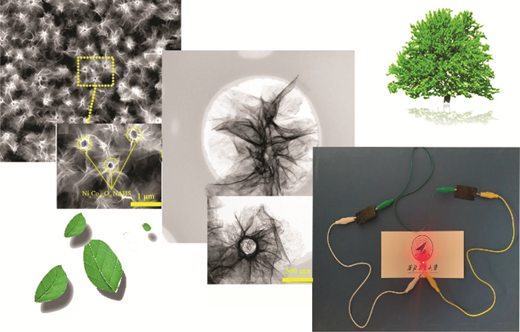 Controllable synthesis of ZIF-derived NixCo3−xO4 nanotube array ...