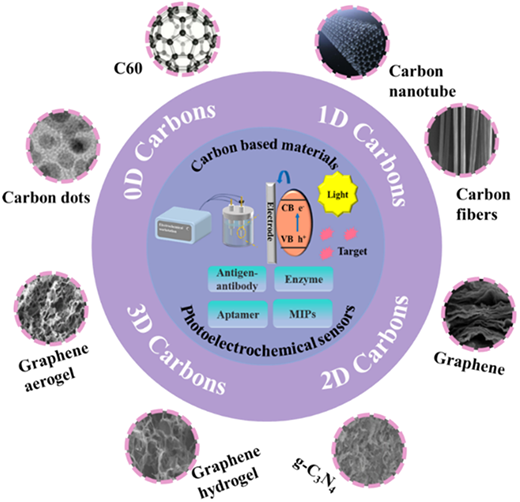 Carbon-based photoelectrochemical sensors: recent developments and ...