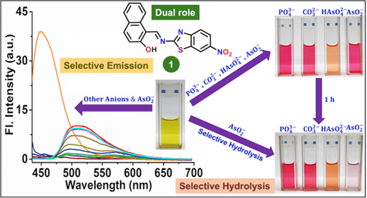 Dual role of arsenite in hydrolysis and post-hydrolysis fluorescence ...