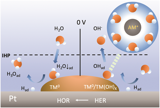 Interfacial water shuffling the intermediates of hydrogen oxidation and ...