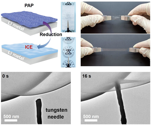 A self-healing Li-crosslinked elastomer promotes a highly robust and ...