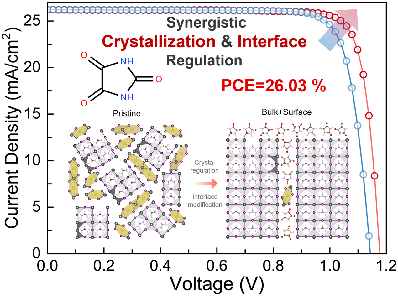 One-stone-two-birds: over 26% efficiency in perovskite solar cells via ...
