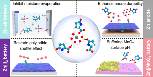 An electrochemically paralleled biomass electrolyte additive ...