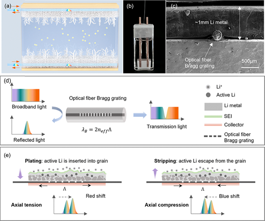 Monitoring of electro-chemo-mechanics in Li metal electrodes by optical ...