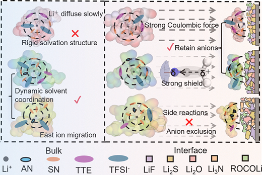 A kinetic descriptor of solvent polarization for rational electrolyte ...