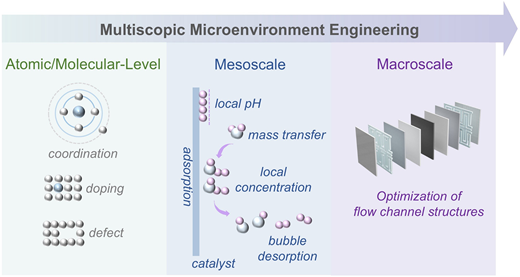 Multiscale microenvironment engineering at the gas–liquid–solid triple ...