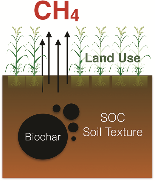 Impact of soil properties on the soil methane flux response to biochar ...