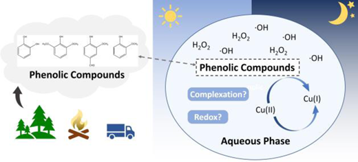 Effects of copper on chemical kinetics and brown carbon formation in ...