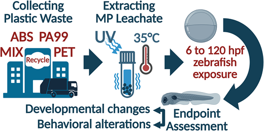 Impacts of real microplastic leachates on the development and behavior ...