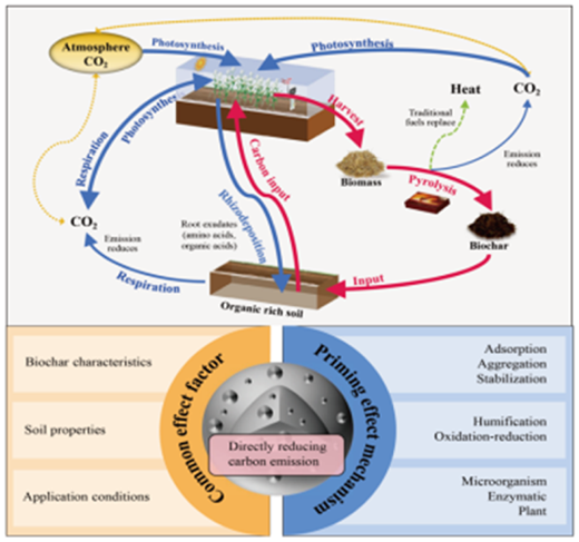 Biochar-driven soil carbon sequestration: priming effects and emission ...