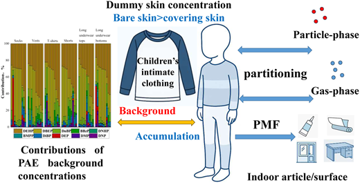Phthalates in children's intimate clothing: occurrence, accumulation ...