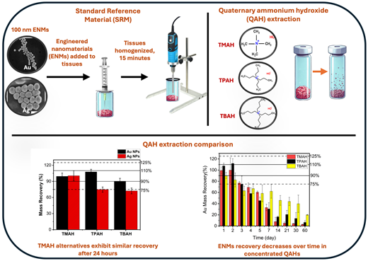 Evaluation of alternative bases to TMAH for tissue extraction of ENMs ...