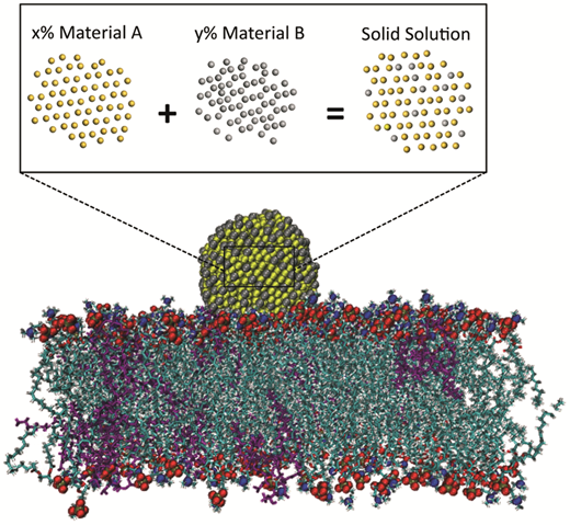 Research highlights: comparing the biological response of nanoparticle ...