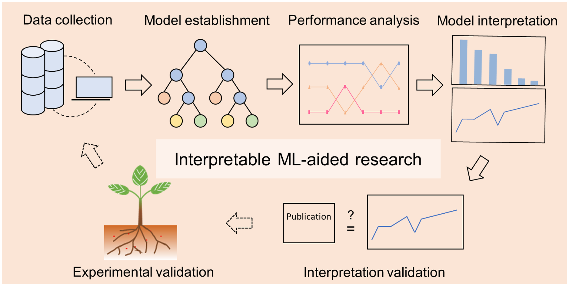 Interpretable machine learning for investigating complex nanomaterial ...