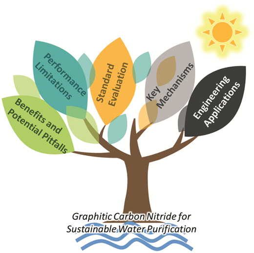 Emerging investigators series: advances and challenges of graphitic ...