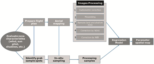 Monitoring cyanobacterial harmful algal blooms by unmanned aerial ...