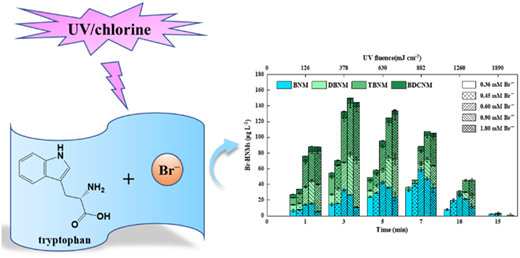 Disinfection of bromide-containing tryptophan water by UV/chlorine ...