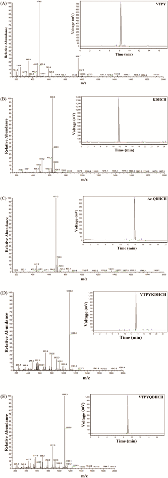 A new dual-peptide strategy for enhancing antioxidant activity and ...