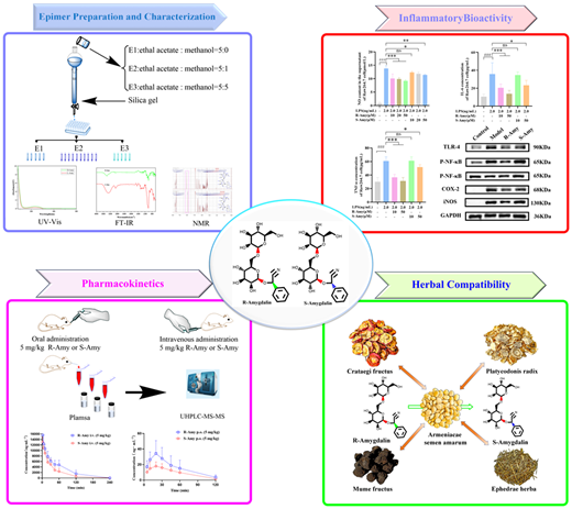 Stereoselective pharmacokinetics and anti-inflammatory activity of ...