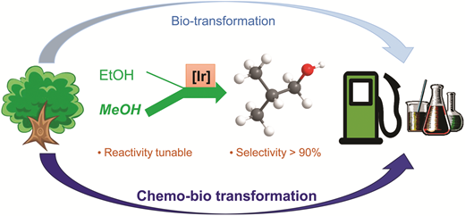 Selective upgrading of ethanol with methanol in water for the ...