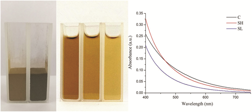 A practicable process for lignin color reduction: fractionation of ...